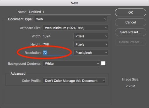 Beginner’s Guide To Bitmap Images And Vector Graphics In Photoshop ...