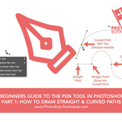 Beginner’s Guide To Bitmap Images And Vector Graphics In Photoshop ...