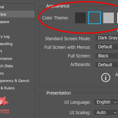 How To Create A Colour Palette From A Photo Using Adobe Color ...